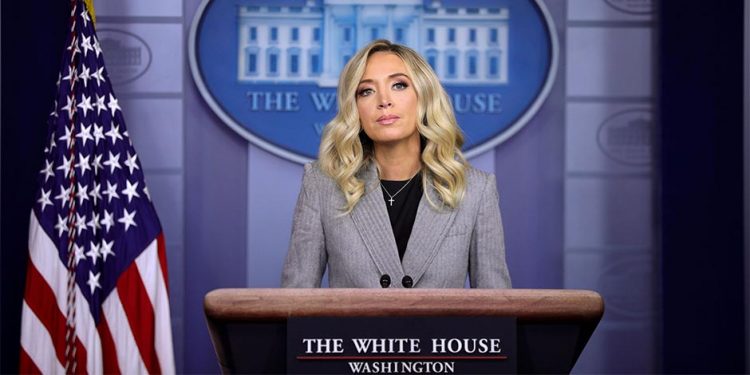 Kayleigh McEnany | Bio, Political Career, Family, Net Worth 2020, Wealth