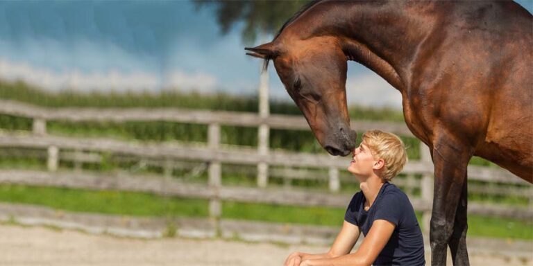 Jesse Drent | Full Bio, Age, Height & New Net Worth 2021